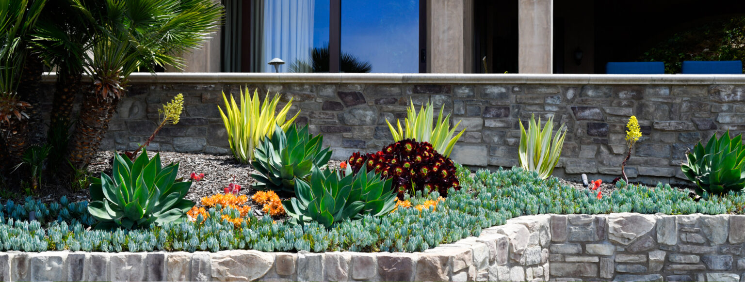 Landscape Company Orange County | My Botanica – Landscaping Services